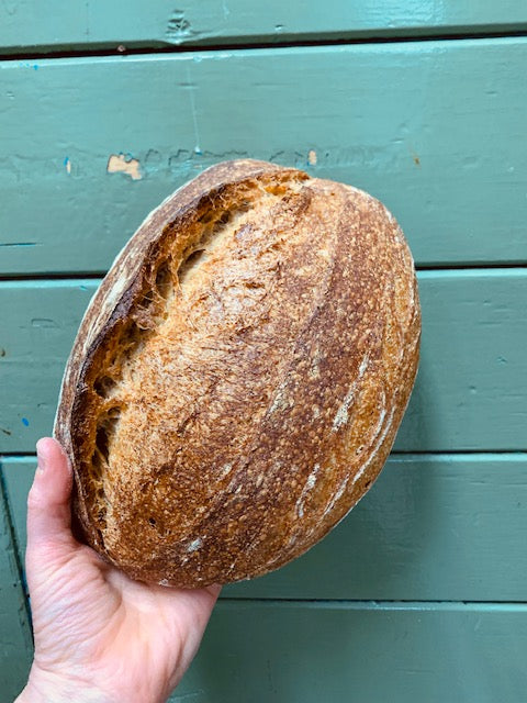 Sourdough Bread – Grist Microbaker